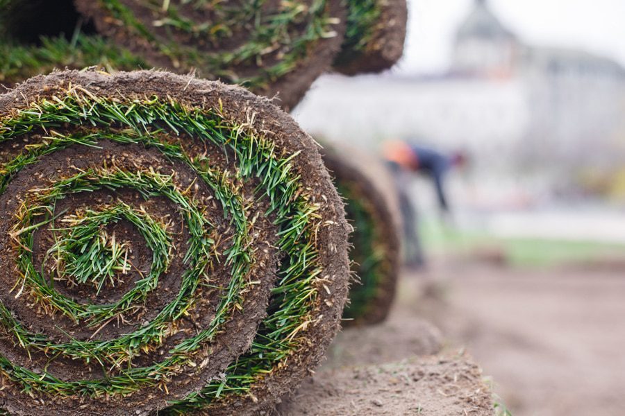DIY Sod Installation Guide: Steps to a Lush Lawn | Monarch Sod