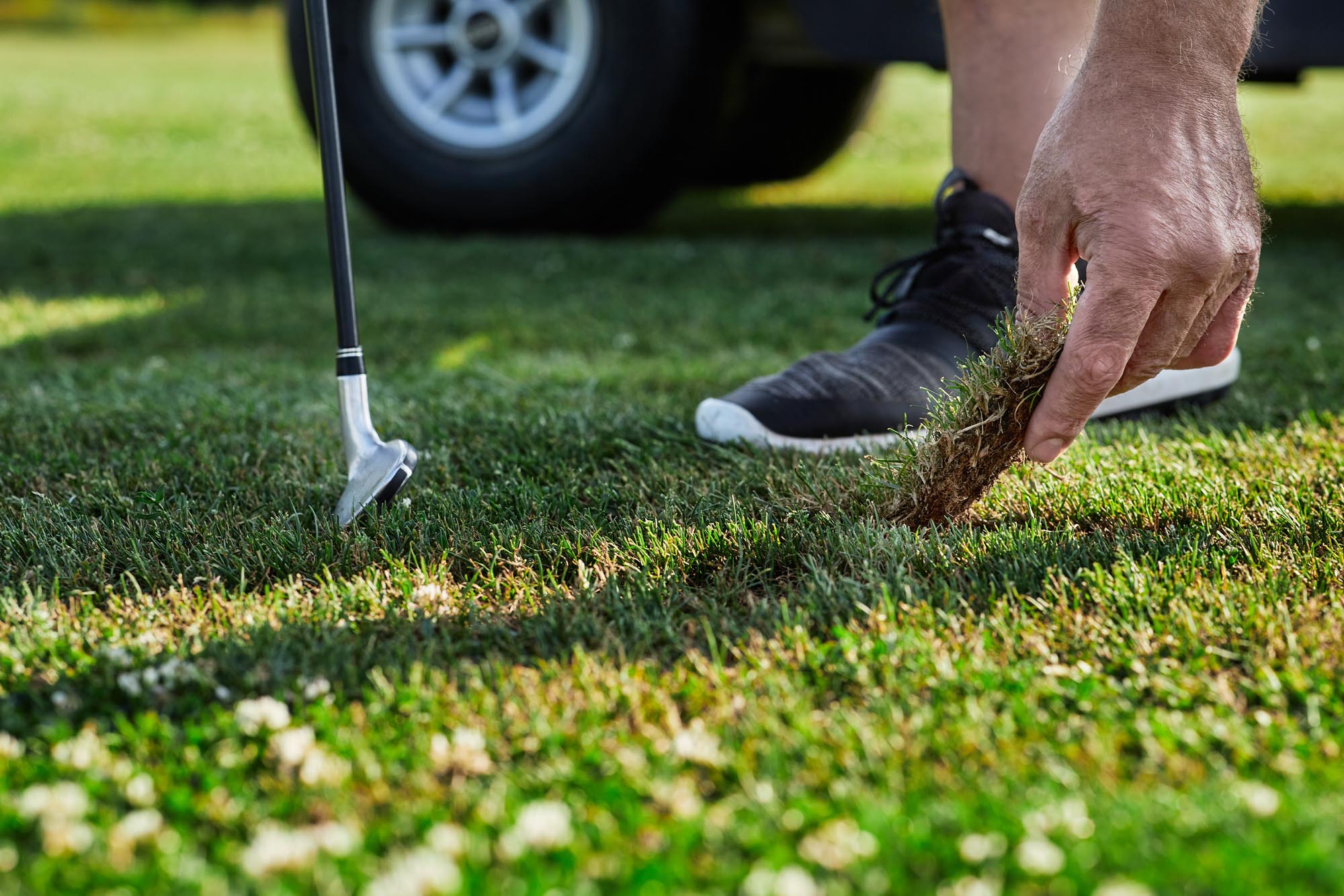 DIY Sod Installation Guide: Steps to a Lush Lawn | Monarch Sod