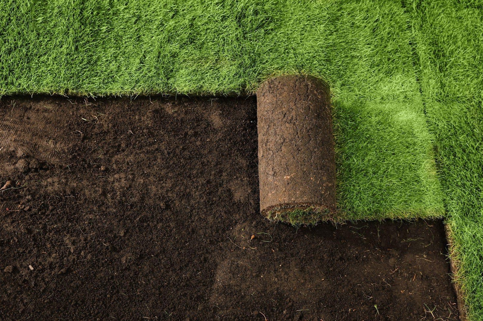 From Seed to Sod Grass Journey Guide in Utah | Monarch Sod